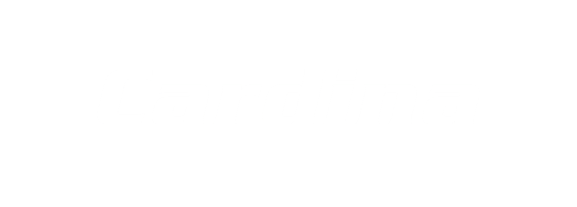 INICIO - Cardina Zaragoza